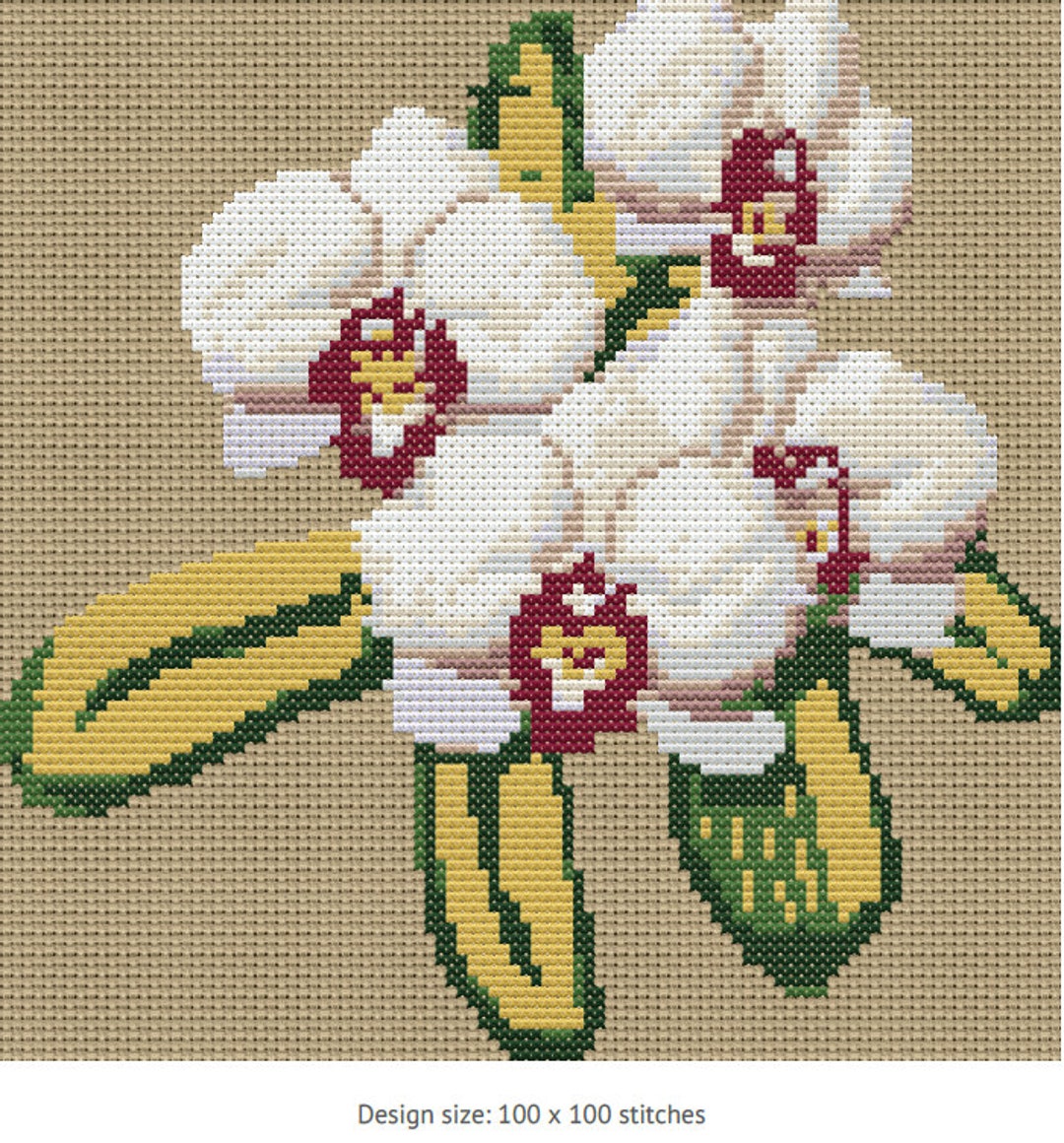 Orchid Cross Stitch Pattern Phalaenopsis - Etsy
