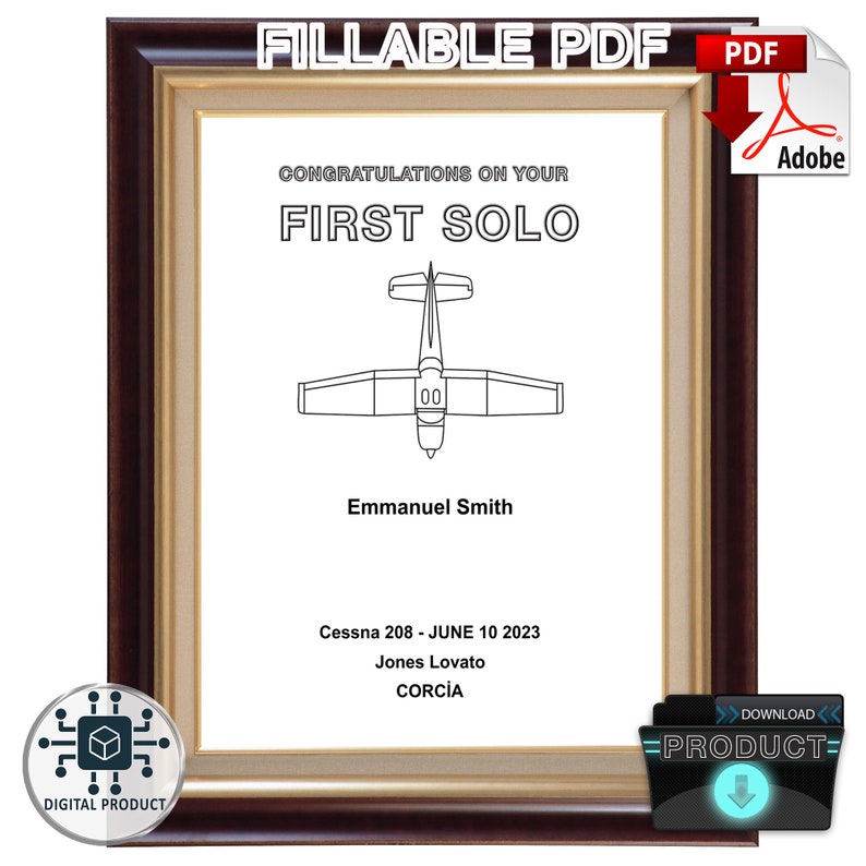 Pilot First Solo Flight Award, Plaque Fillable Pdf, Personalized Pilot ...