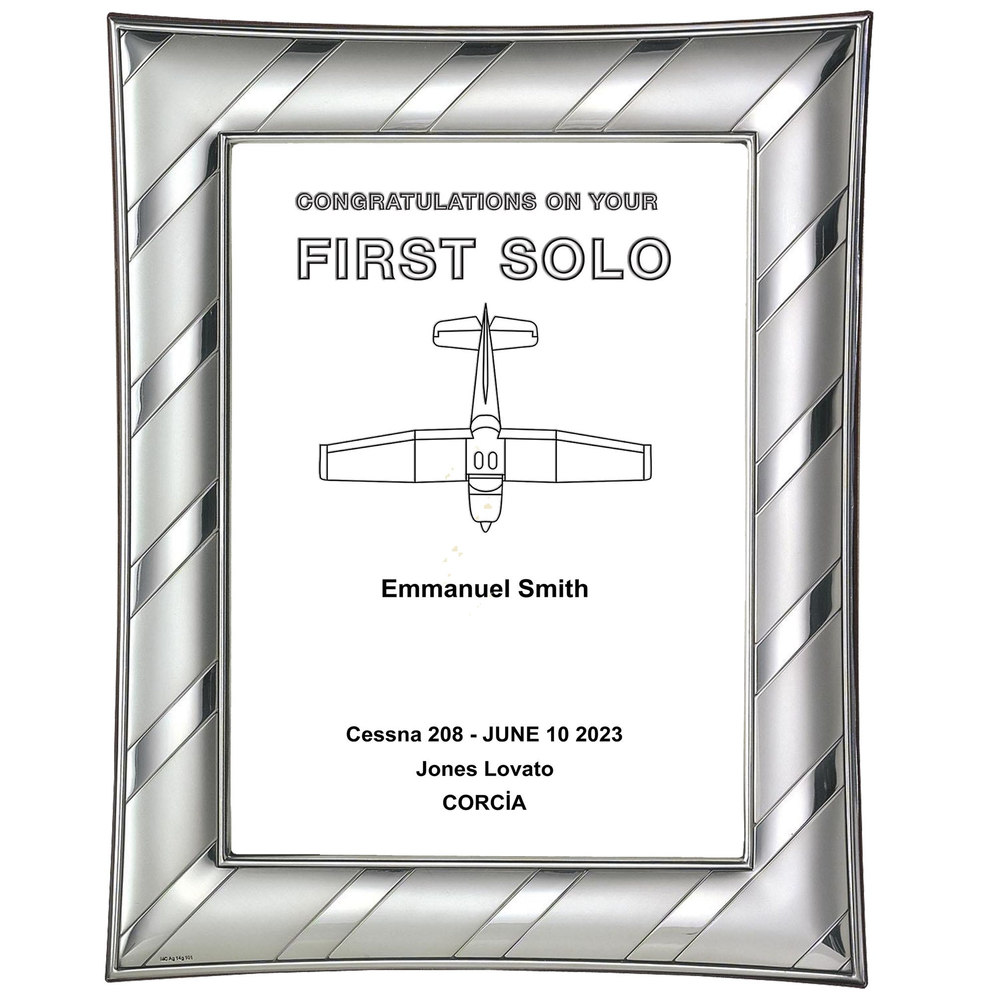 Pilot First Solo Flight Award, Plaque Fillable Pdf, Personalized Pilot ...