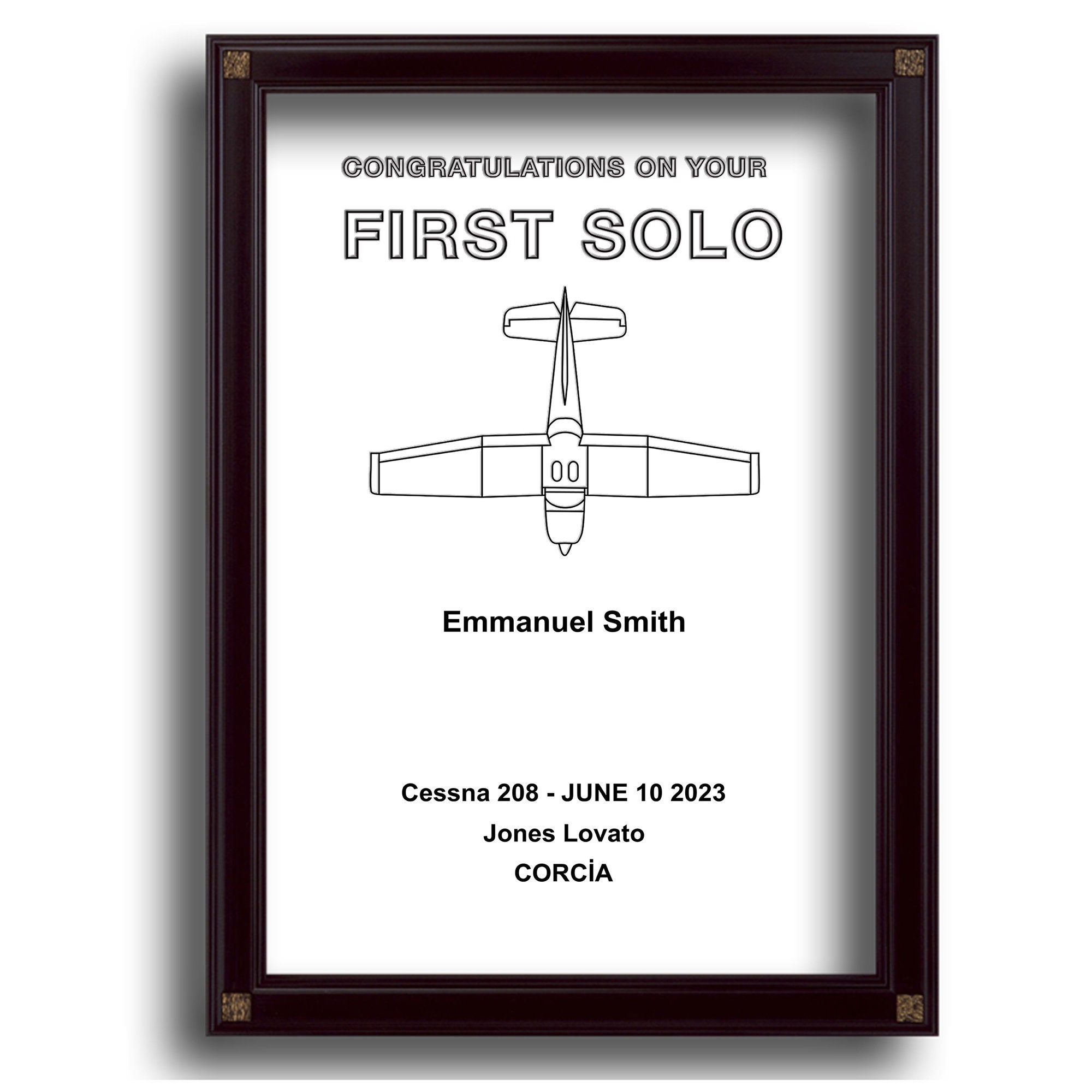 Pilot First Solo Flight Award, Plaque Fillable Pdf, Personalized Pilot ...