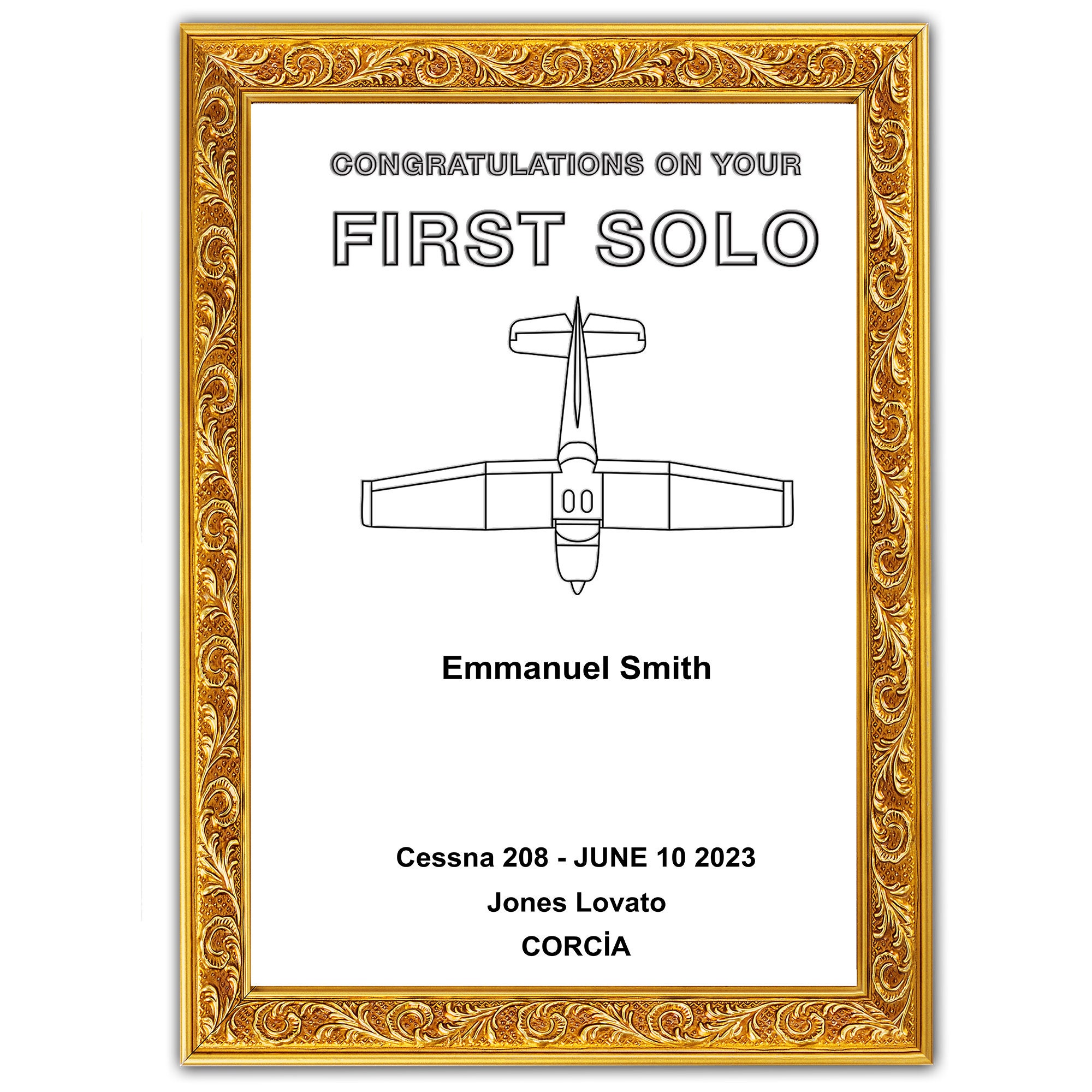 Pilot First Solo Flight Award, Plaque Fillable Pdf, Personalized Pilot ...
