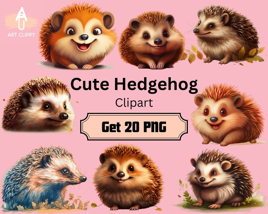 Cute Hedgehog PNG Clipart Bundle - Etsy