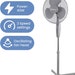 16 Inch Fan - Etsy