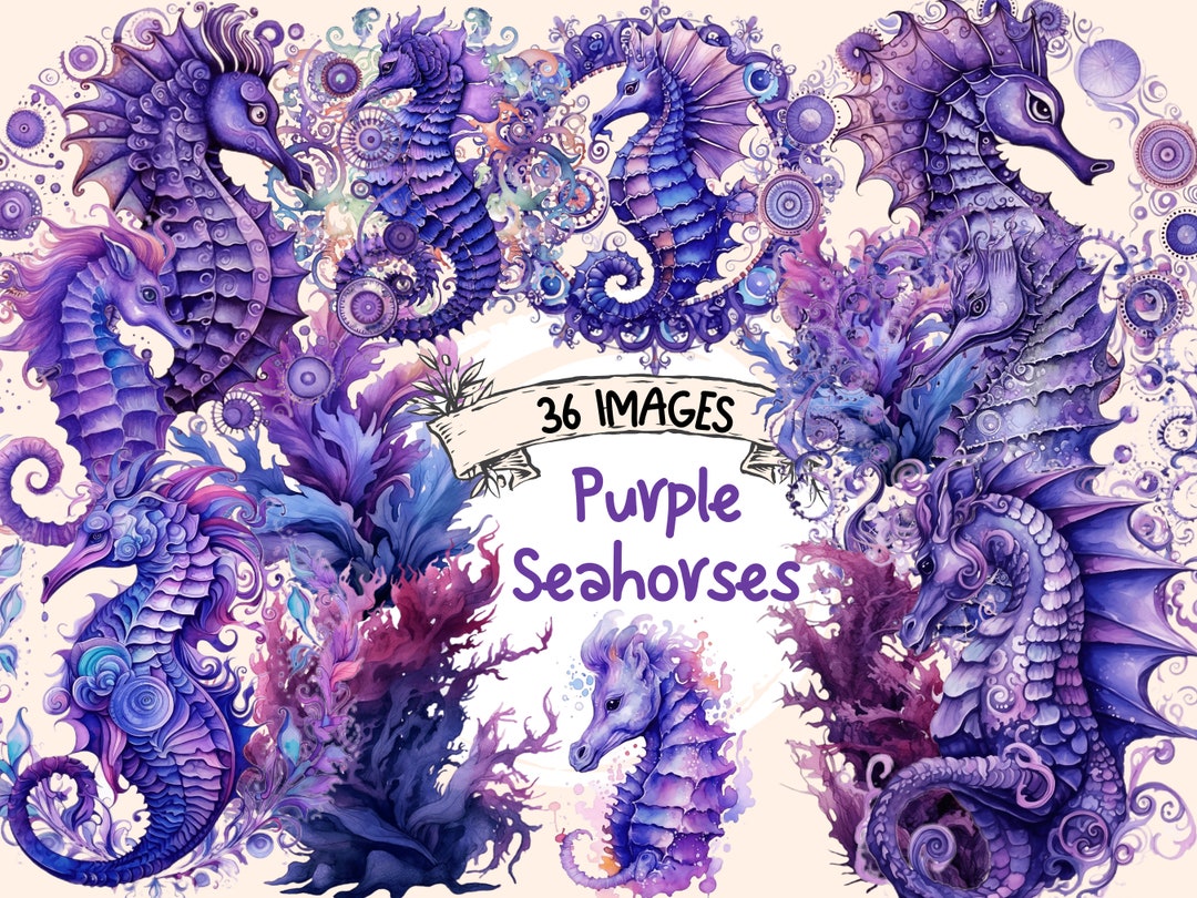Purple Seahorses Watercolor Clipart Bundle 36 PNG Images, Beautiful ...