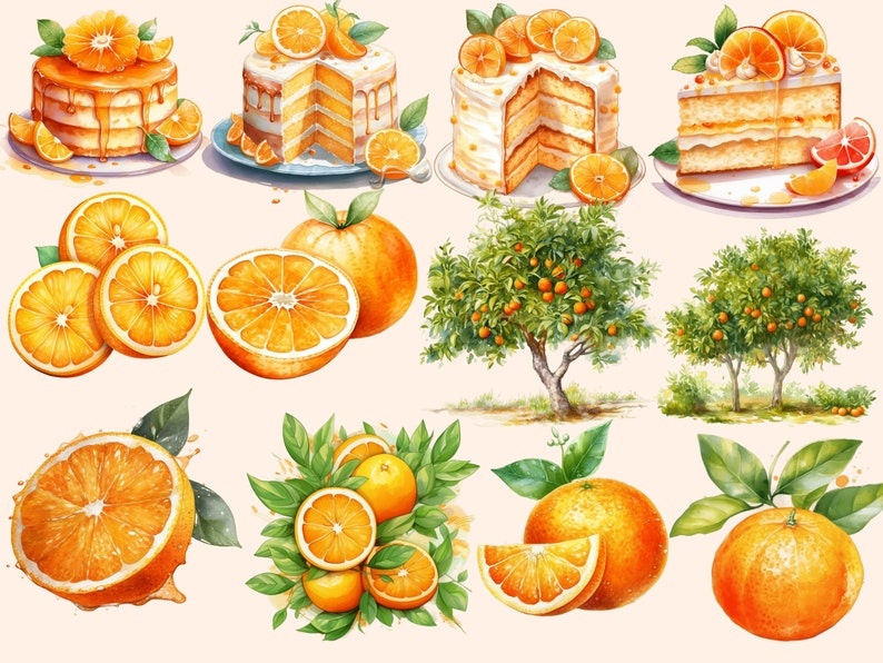 Oranges Watercolor Clipart Bundle 53 PNG Images of - Etsy