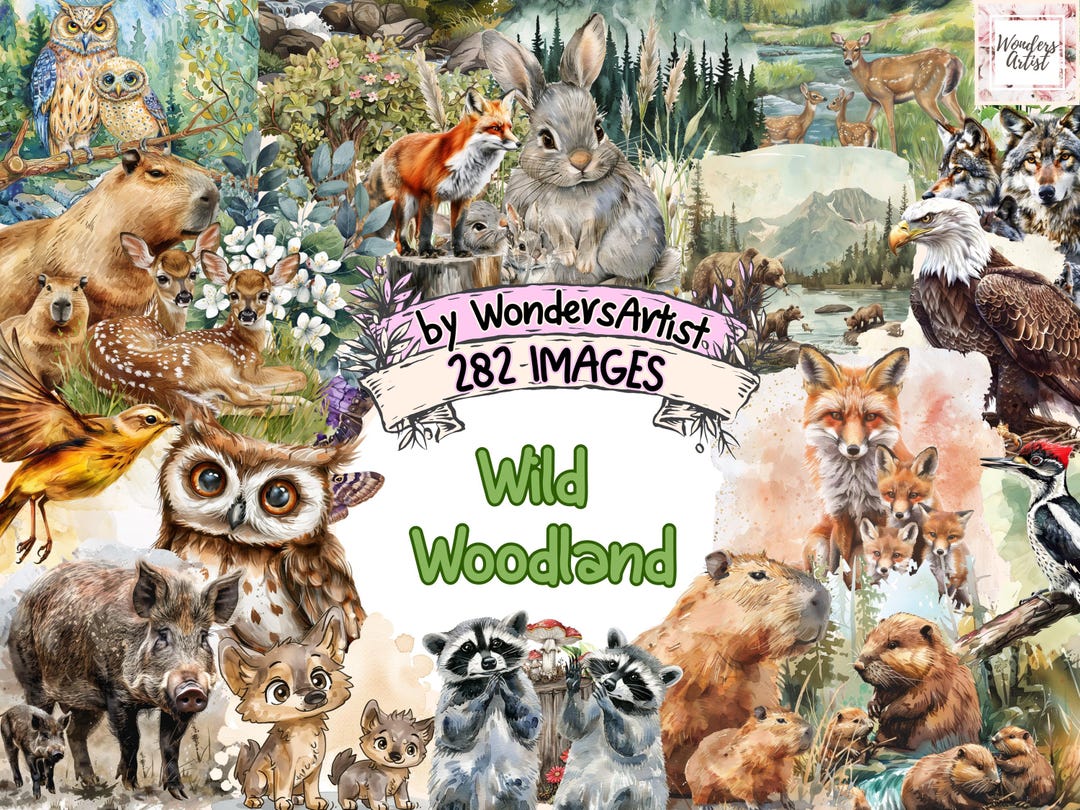 Watercolor Woodland Clipart Bundle: 282 Forest Animal PNG Images ...
