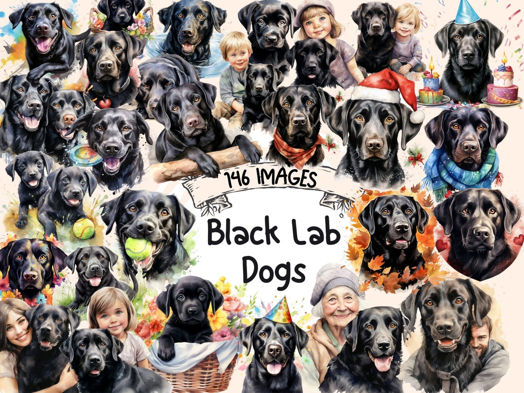 Black Lab Dogs Watercolor Clipart Bundle - 146 PNG Black Labrador ...