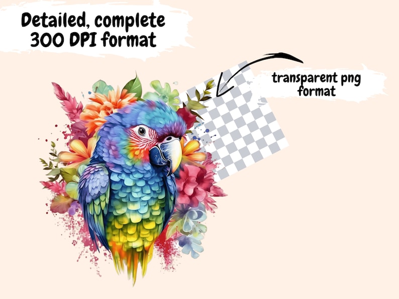Watercolor Parrot Clipart: 108 Tropical Bird PNG Images (digital ...