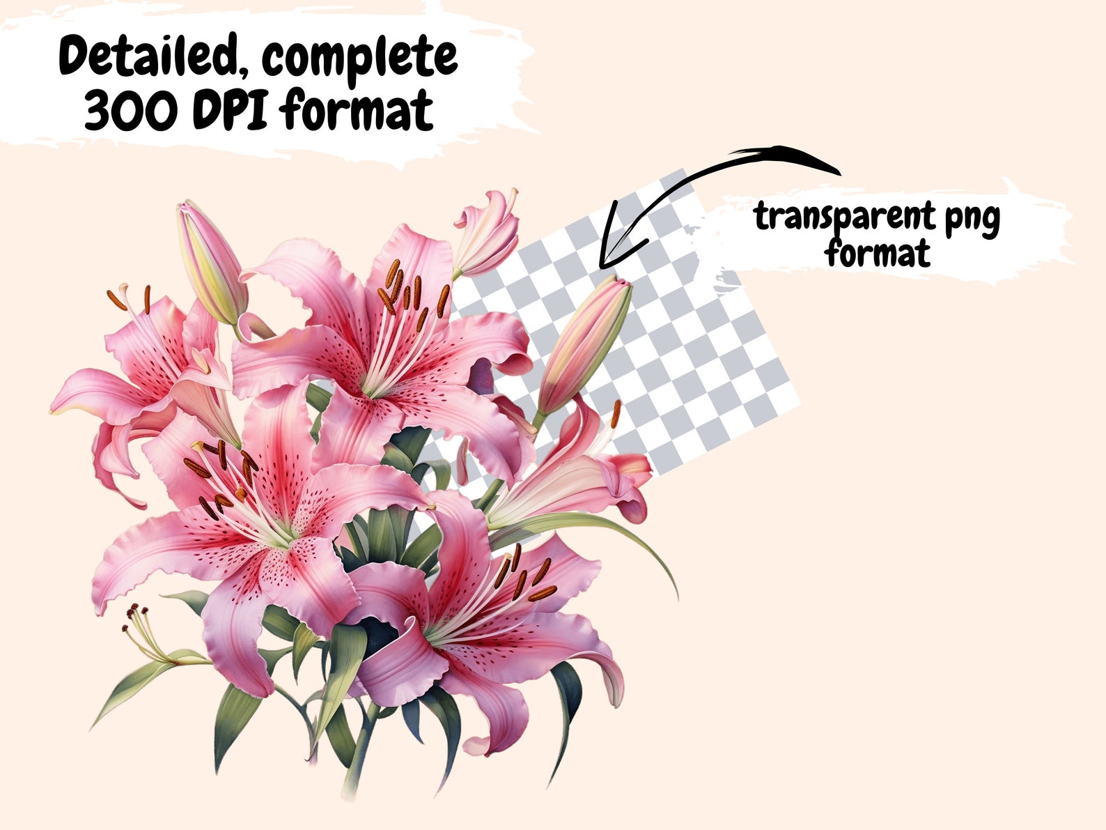 Pink Lilies Watercolor Clipart Bundle: 101 Floral PNG Images (digital ...