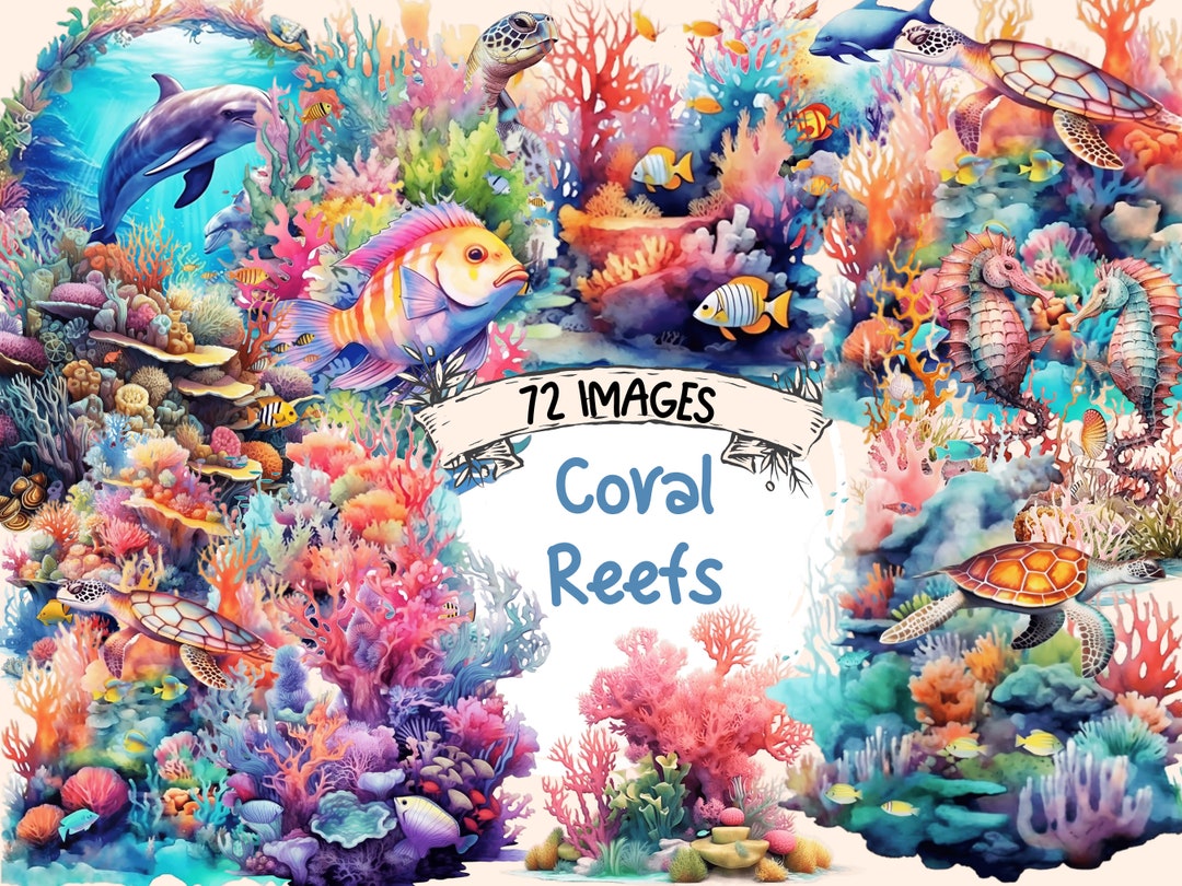 Coral Reefs Watercolor Clipart Bundle - 72 PNG Sea Reef Images, Beautiful Underwater Graphics ...