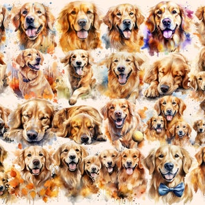 Golden Retriever Watercolor Clipart Bundle: 213 Puppy PNG Images ...