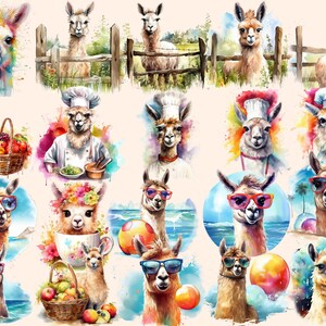 Llamas Watercolor Clipart Bundle 168 PNG Llama Images, Adorable Alpaca ...