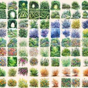 Bushes Watercolor Clipart Bundle - 501 PNG Greenery Shrubbery Images ...