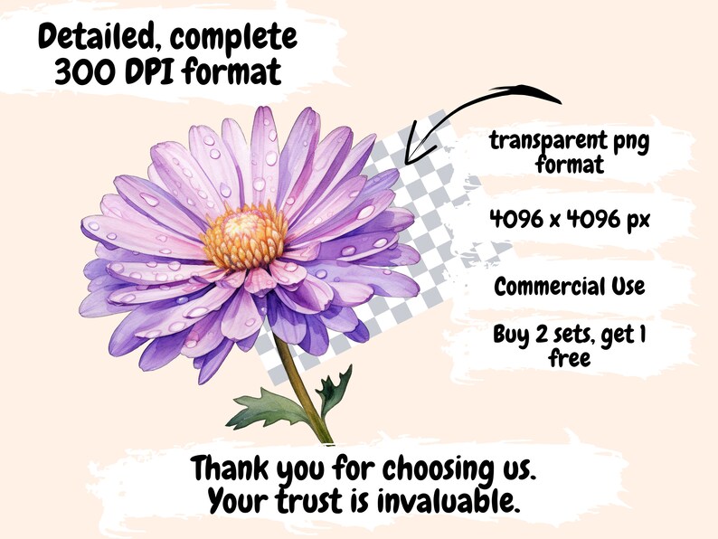 Aster Flowers Watercolor Clipart Bundle: 431 PNG Floral Graphics ...