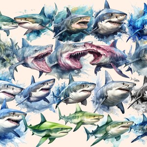 Sharks Watercolor Clipart Bundle - 151 PNG Shark Images, Oceanic ...