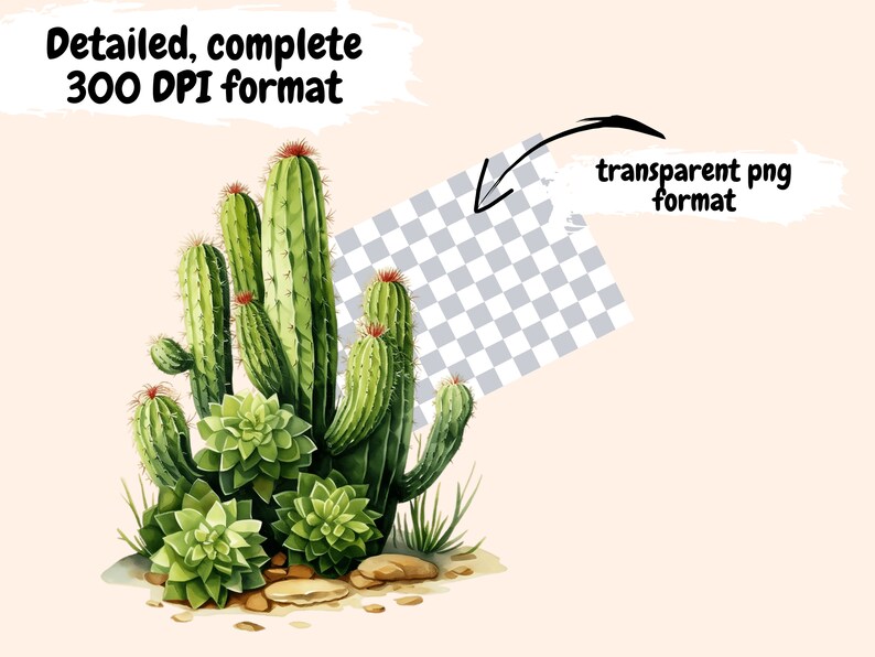 Watercolor Cactus Clipart Bundle: 99 Desert Plant PNG Images ...