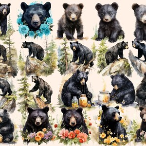 Black Bears Watercolor Clipart Bundle: 109 PNG Forest Animal Images ...