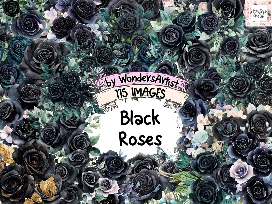 Black Roses Watercolor Clipart Bundle - 115 PNG Dark Rose Images ...