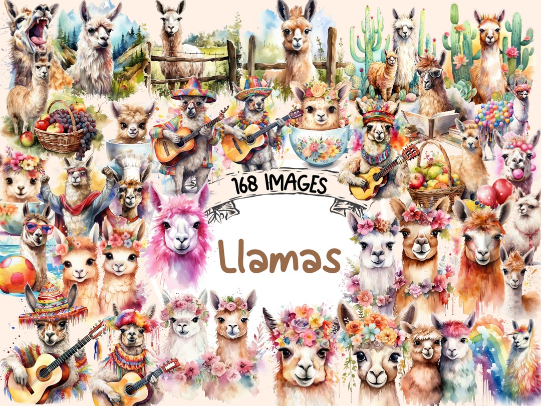 Llamas Watercolor Clipart Bundle 168 PNG Llama Images, Adorable Alpaca ...
