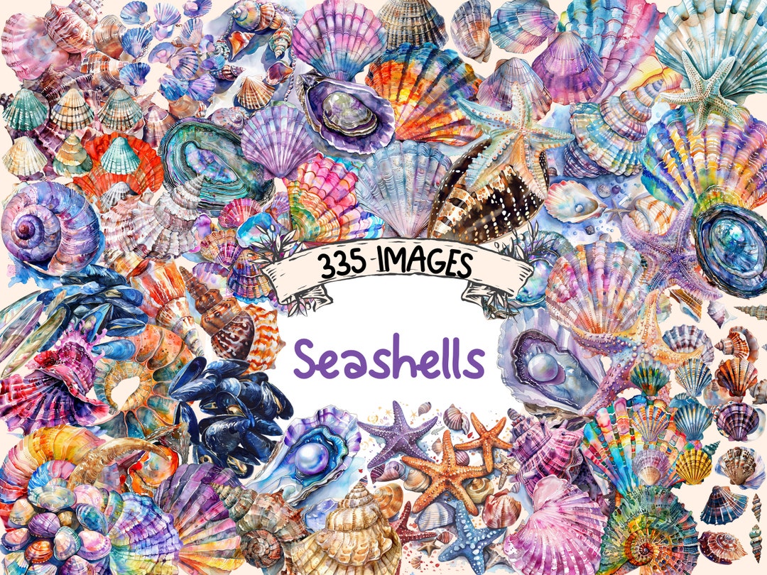 Seashells Watercolor Clipart Bundle - 335 PNG Nautical Coastal Shell ...