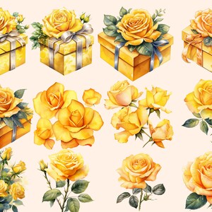 Yellow Roses Watercolor Clipart Bundle: 79 PNG Floral Images ...