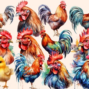 Chickens Watercolor Clipart Bundle - 89 PNG Farm Animal Images, Cute ...