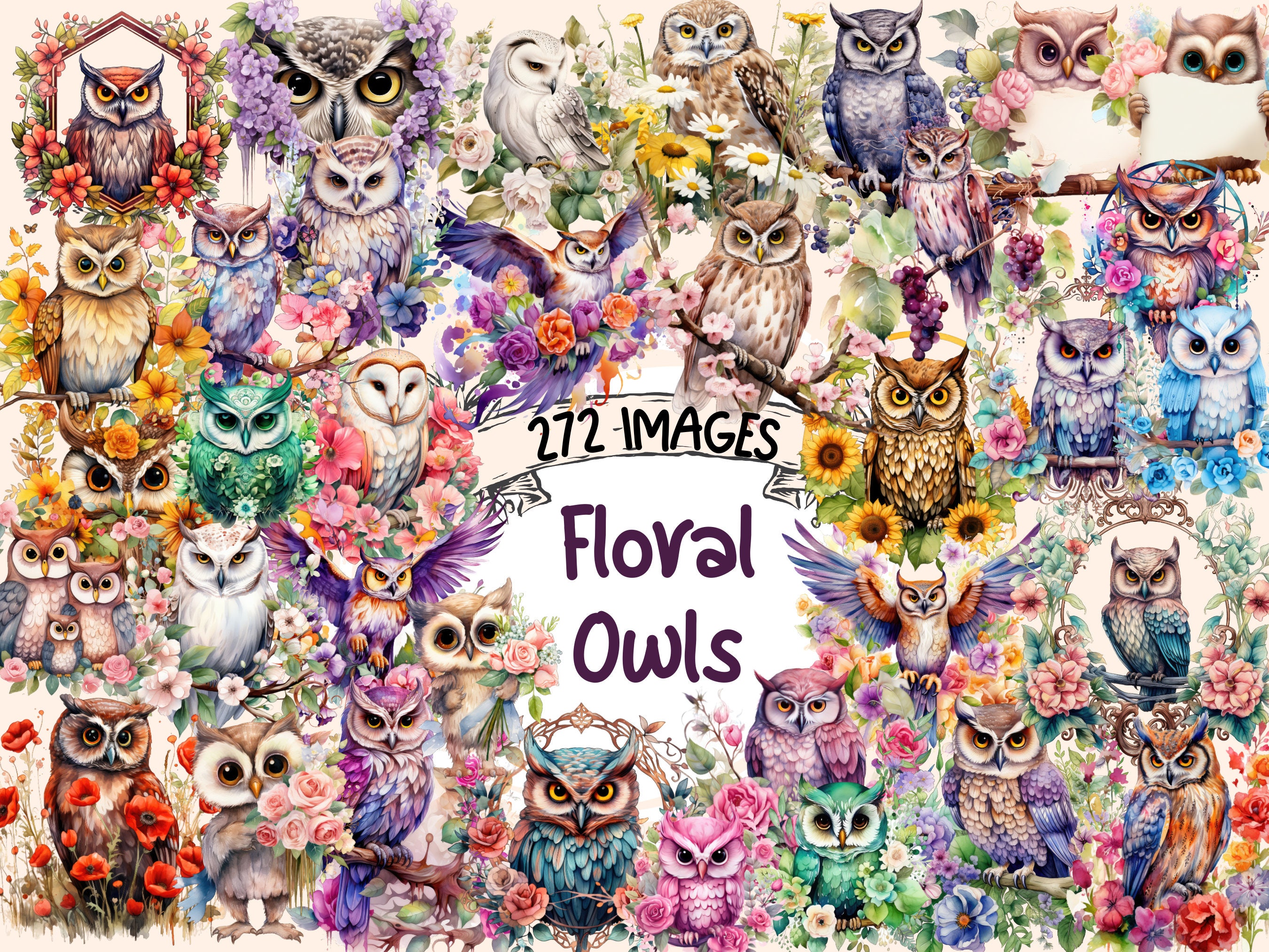 Floral Owl Clipart Bundle: 272 Watercolor PNG Images (digital Download ...