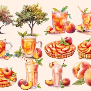 Peaches Watercolor Clipart Bundle - 73 PNG Images of Refreshing Summer ...