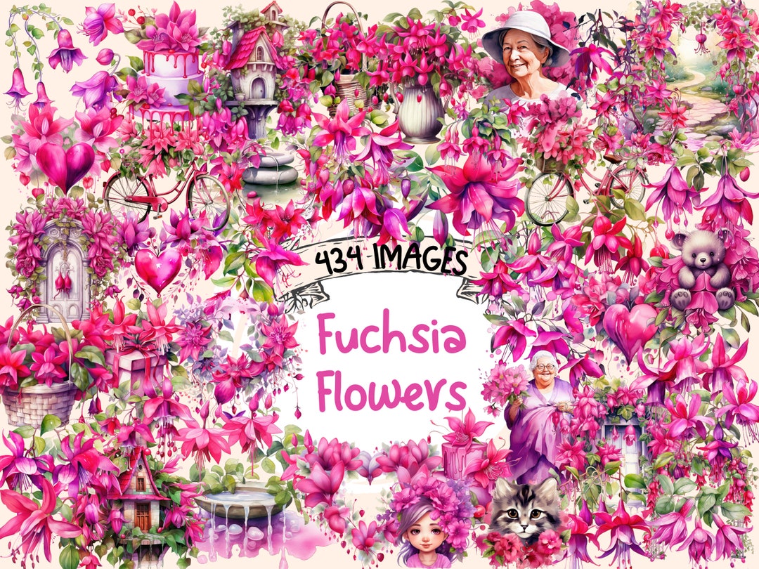 Fuchsia Flowers Watercolor Clipart Bundle - 434 PNG Fuchsia Blossom ...