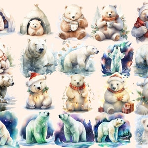 White Bears Watercolor Clipart Bundle 114 PNG Polar Bear Images, Arctic ...