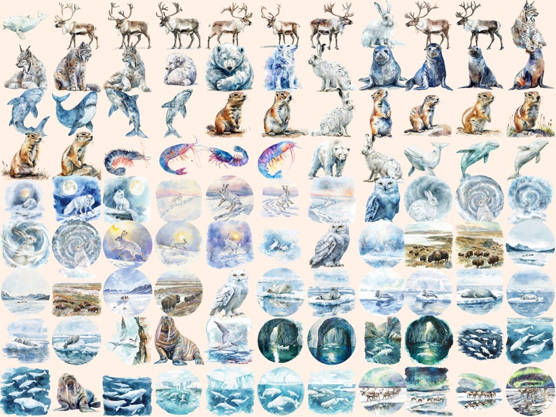 Watercolor Arctic Animals Clipart Bundle: 441 PNG Images (digital ...