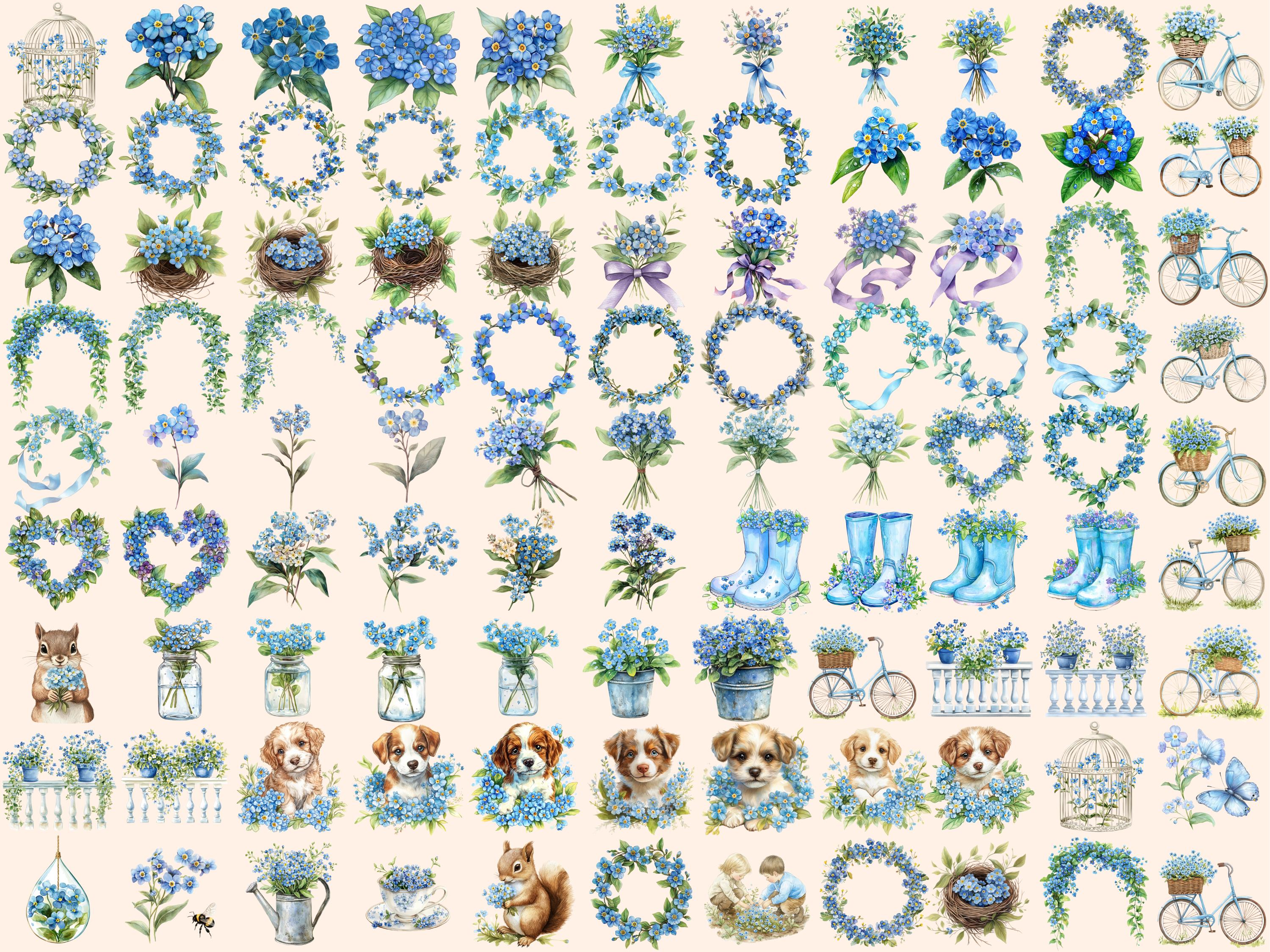 Forget Me Not Flowers Watercolor Clipart: 177 PNG Floral Illustrations ...