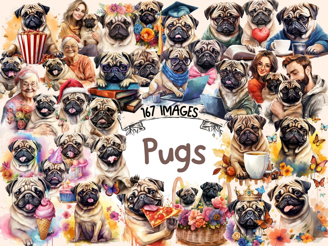 Pugs Watercolor Clipart Bundle - 167 PNG Adorable Pug Images, Cute Dog ...