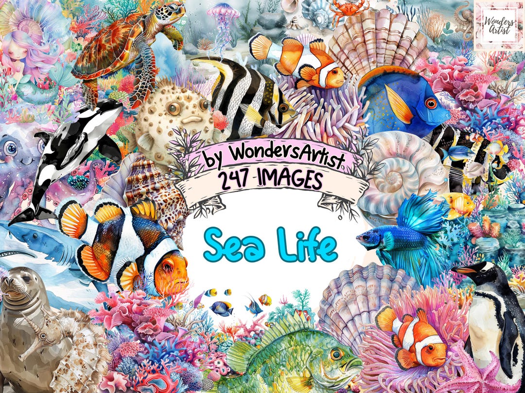 Sea Life Watercolor Clipart Bundle: 247 Marine Creature PNG Images ...