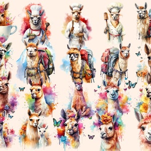 Llamas Watercolor Clipart Bundle 168 PNG Llama Images, Adorable Alpaca ...