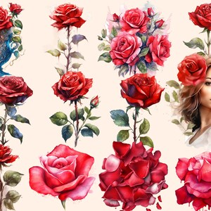 Red Roses Watercolor Clipart Bundle - 98 PNG Images, Beautiful Floral ...