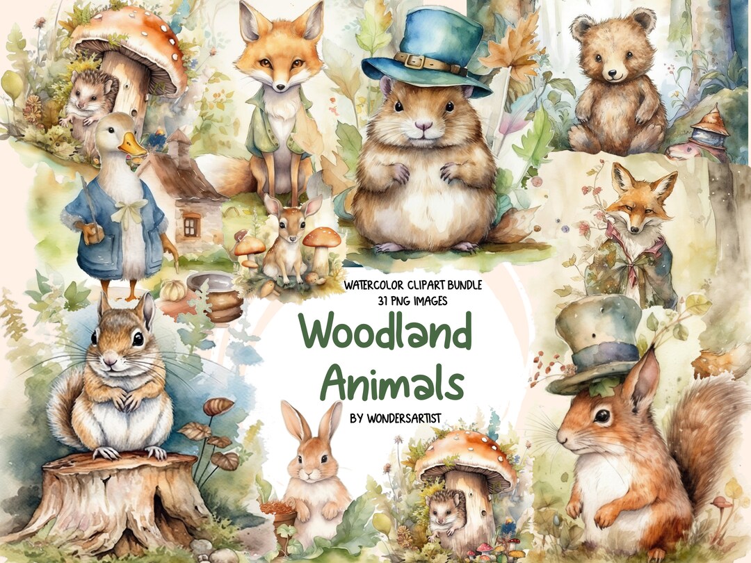 Woodland Animals Clipart: Watercolor Forest Creatures (digital Download ...