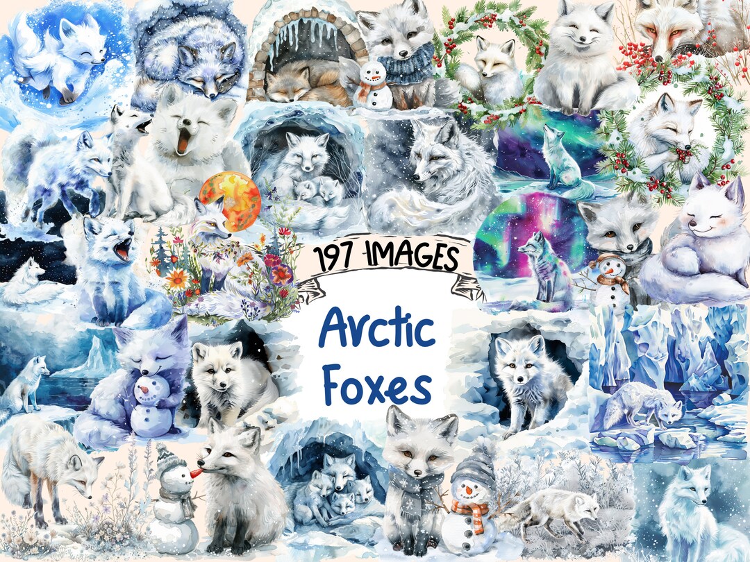 Arctic Foxes Watercolor Clipart Bundle: 197 PNG Images (digital ...