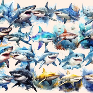 Sharks Watercolor Clipart Bundle - 151 PNG Shark Images, Oceanic ...