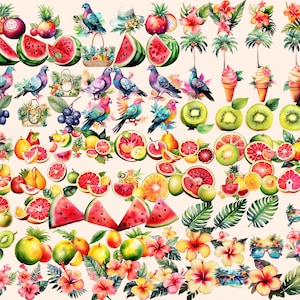 Tropical Summer Watercolor Clipart Bundle: 658 PNG Images (digital ...