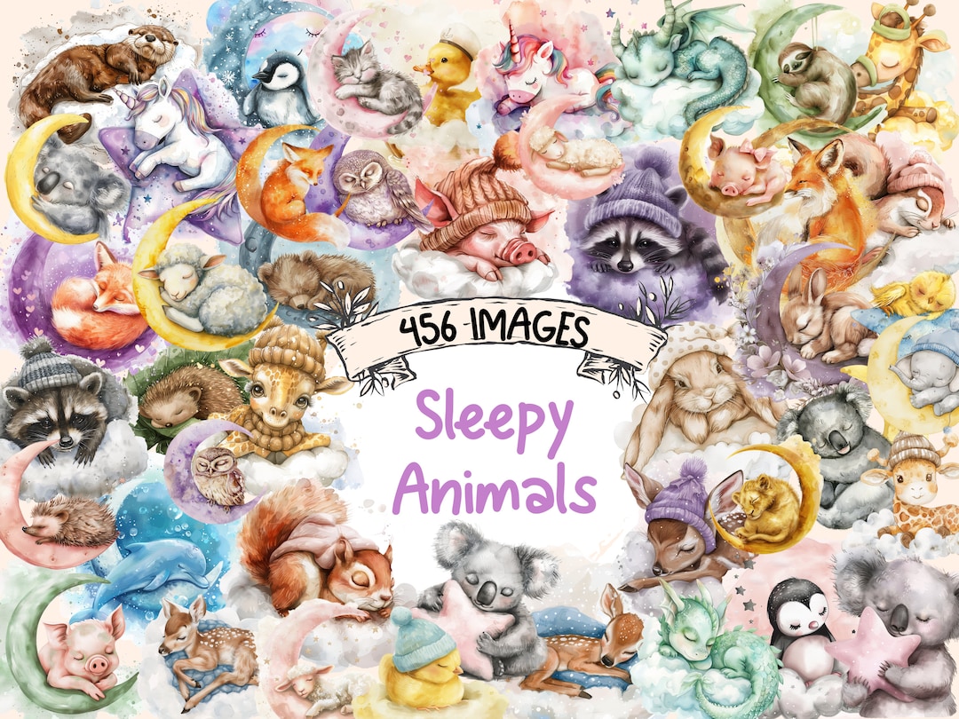 Sleepy Animals Watercolor Clipart Bundle - 456 PNG Cute Snoozing Pets ...