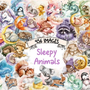 Sleepy Animals Watercolor Clipart Bundle - 456 PNG Cute Snoozing Pets ...