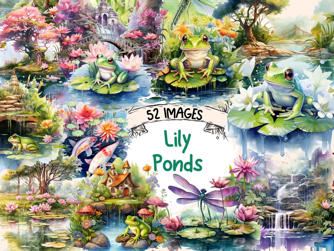 Lily Pond Watercolor Clipart: Frog Pond Graphics (digital Download) - Etsy