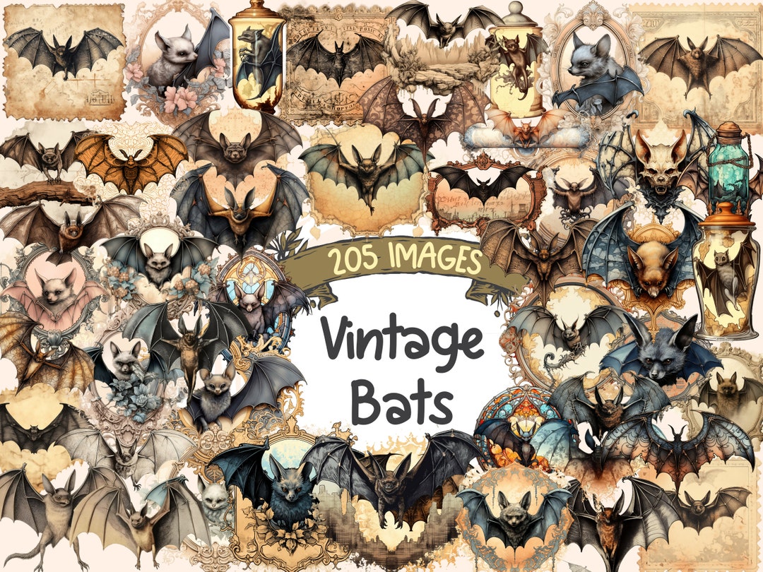 Vintage Bat Watercolor Clipart: 205 Retro Halloween PNG Graphics ...