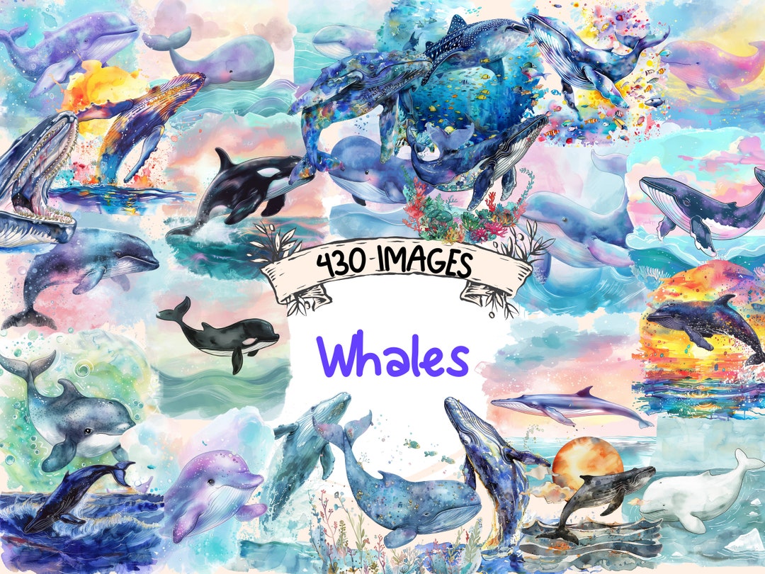 Whales Watercolor Clipart Bundle - 430 PNG Majestic Whale Images, Ocean ...