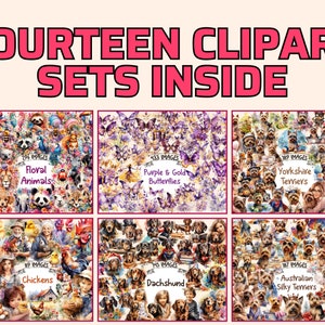 Animals Mega Clipart Bundle (P2) - 3400+ PNG Cute Animal Images ...