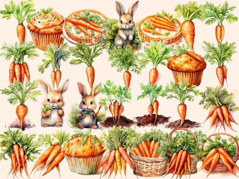 Carrots Watercolor Clipart Bundle: 242 PNG Images (digital Download) - Etsy