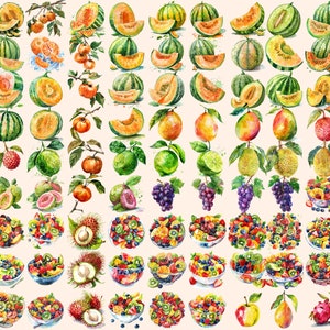 Watercolor Fruits Clipart Bundle: 491 PNG Graphics (digital Download ...