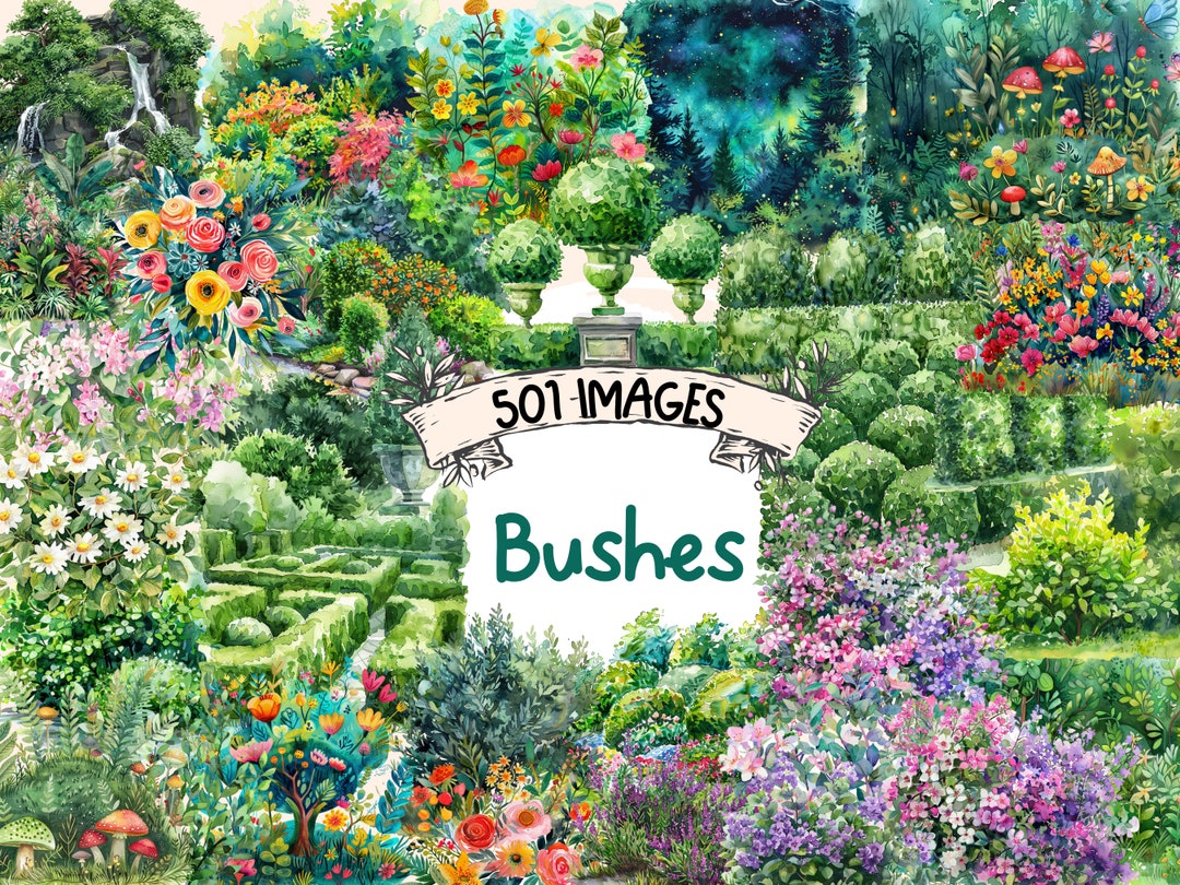 Bushes Watercolor Clipart Bundle - 501 PNG Greenery Shrubbery Images ...