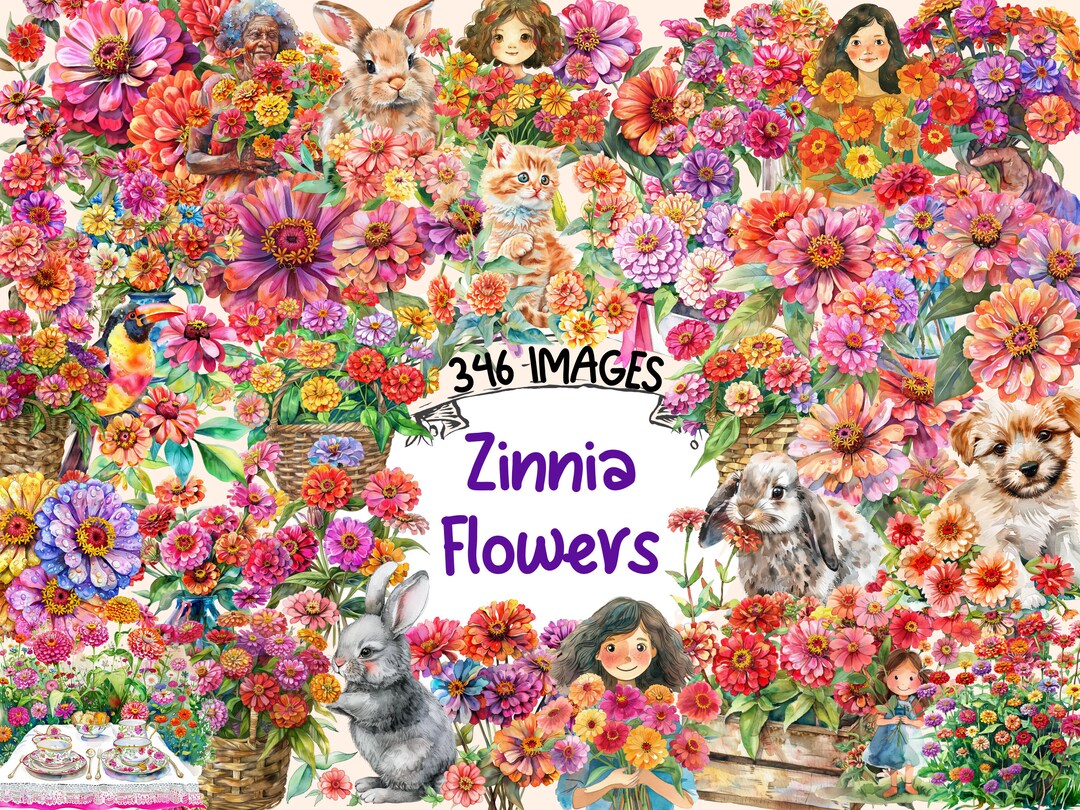 Zinnia Flowers Watercolor Clipart Bundle: 346 PNG Floral Graphics ...